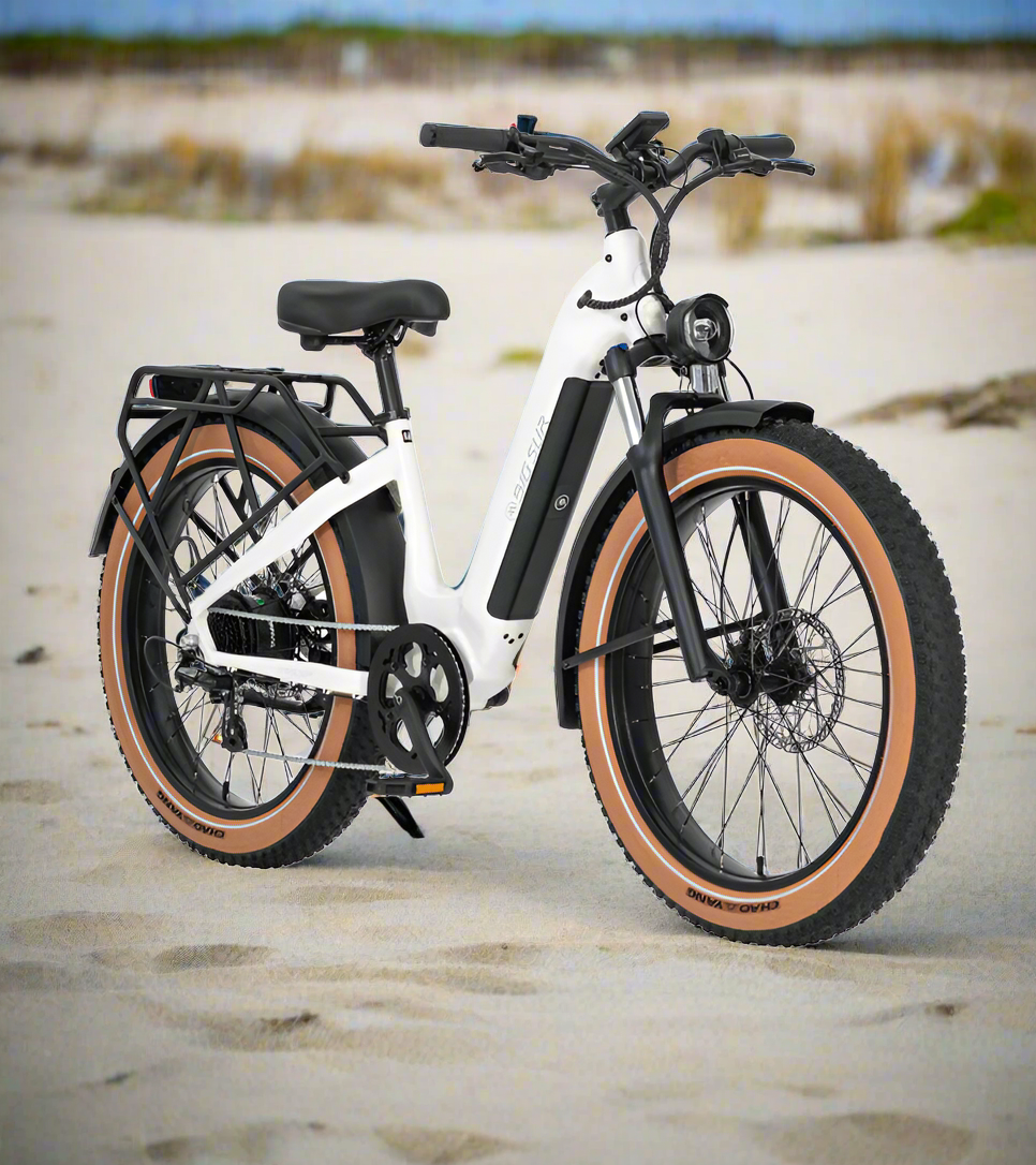 Electric Bike Rentals – E RYDES